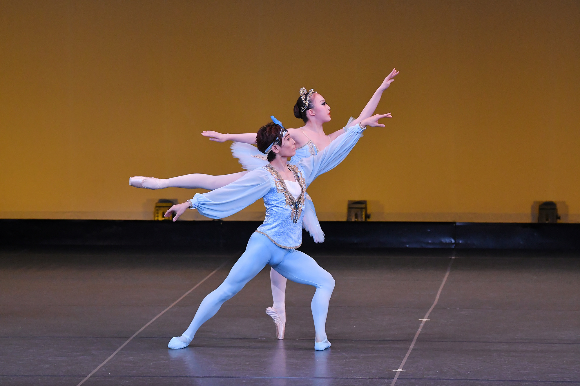 gallery_171 | Ballet Blanc Art